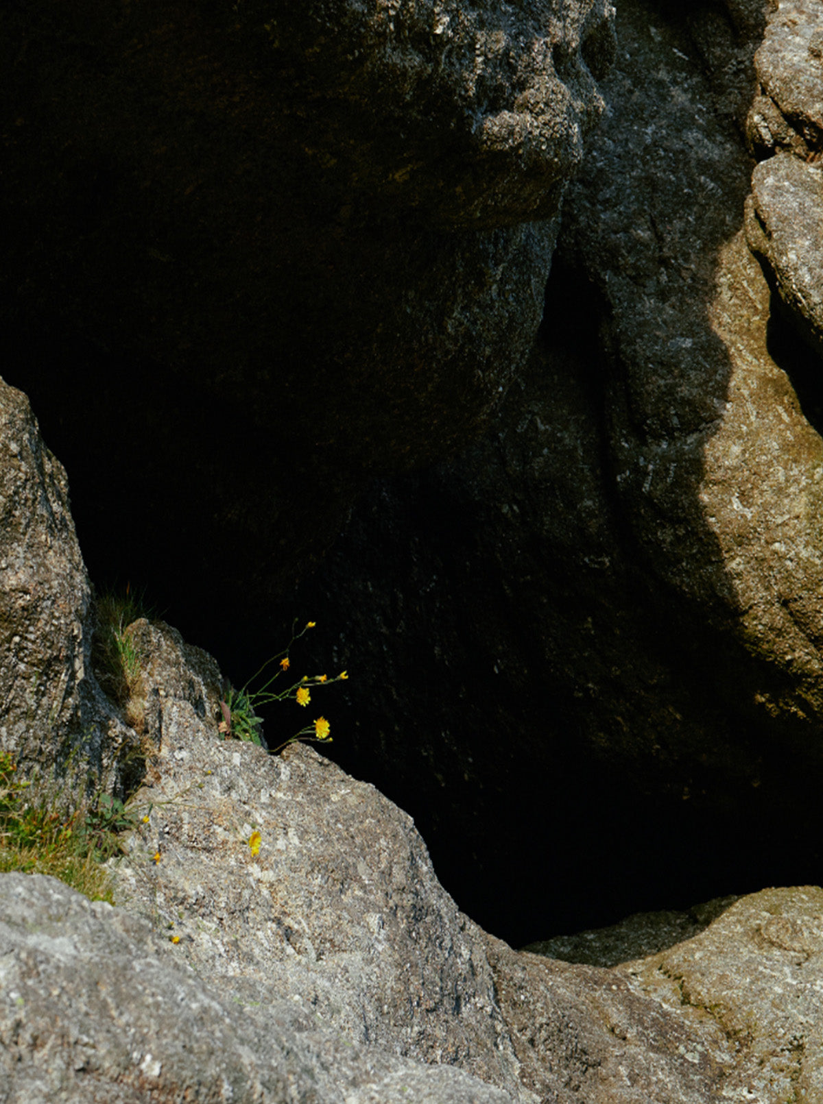 Moorland ~ Inspiration – K A E L Y R U S S E L L